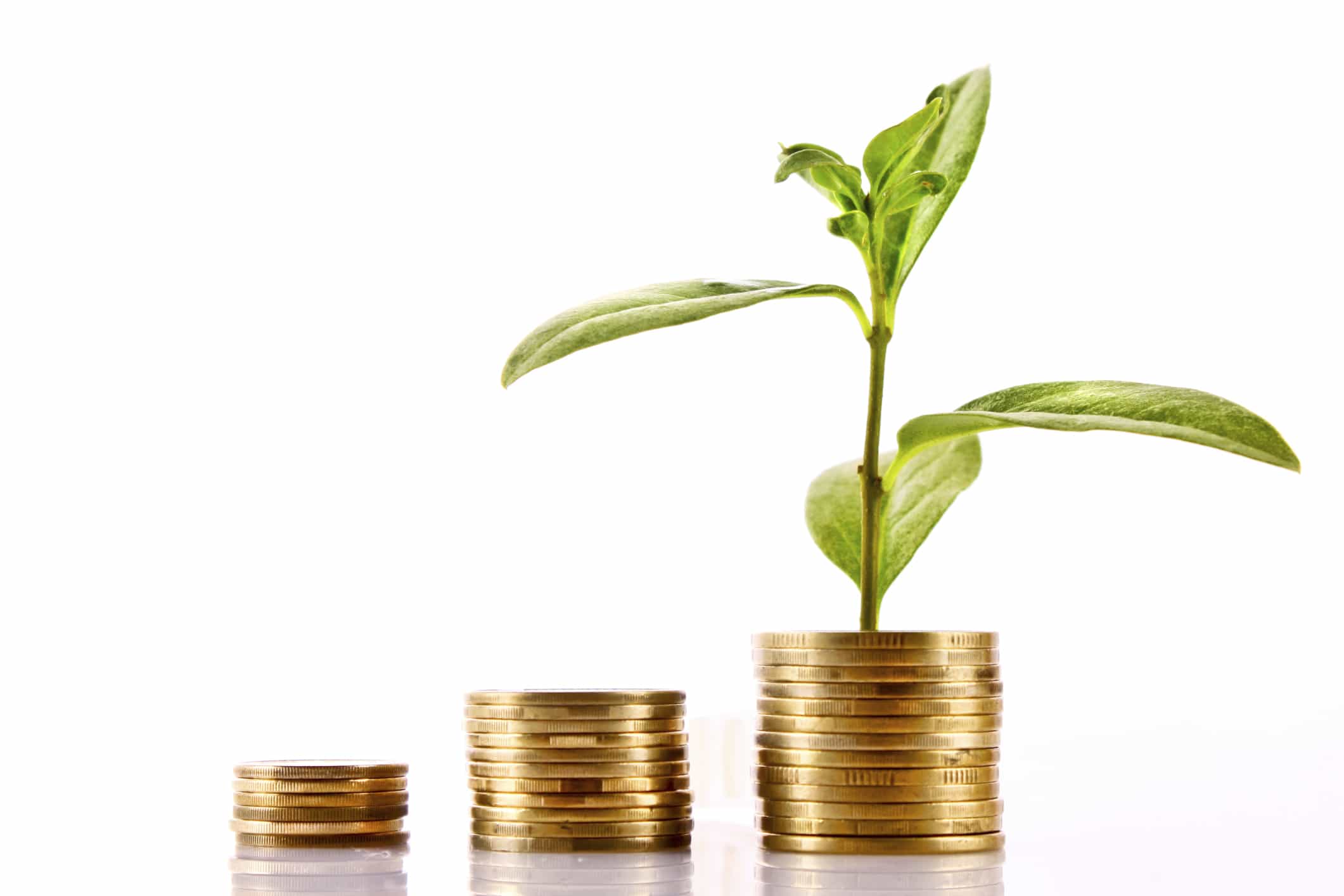 Looking To Mint Money From Equities There s More Than Patience To It Looking To Mint Money From Equities There s More Than Patience To It